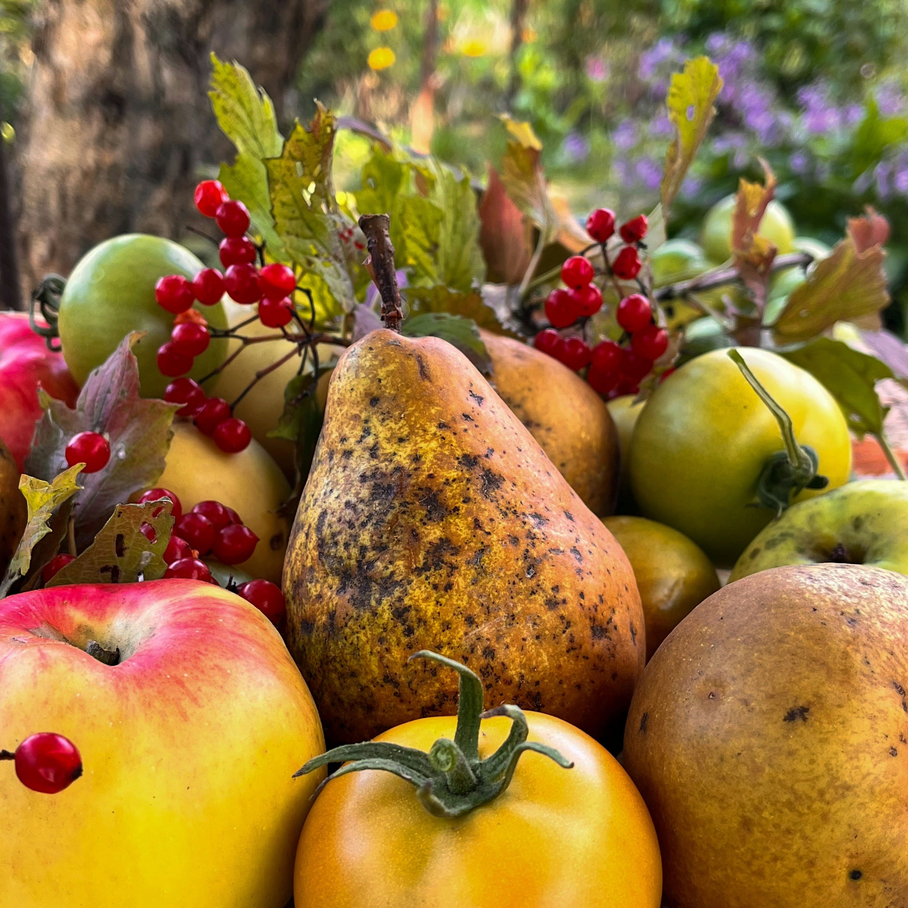 Autumn Harvest: A Guide to Seasonal UK Vegetables and Fruits - Red Box ...